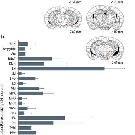 Rvdg Expression In Leprb Cre Mice Number Of Starter Cells A Download Scientific Diagram
