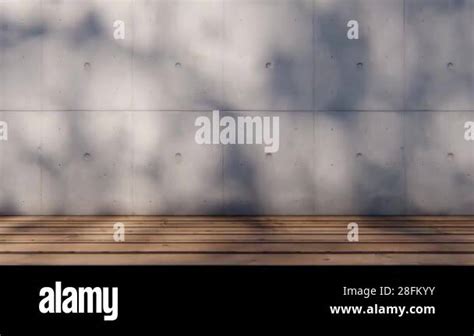 Shadow Overlay Wall Texture Sunlight Leaf Shade Abstract 3d Render Shadows Light Nature Plant