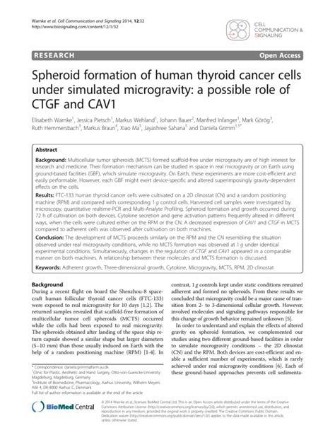 spheroid formation of human thyroid cancer cells pdf gene
