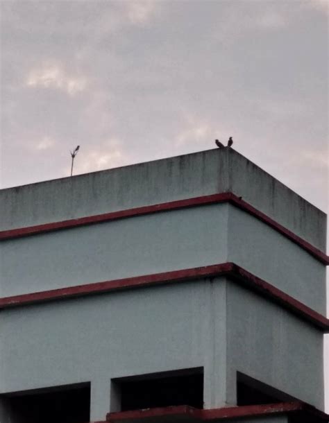 The Threesome Singers On The Highest Stage Mylot