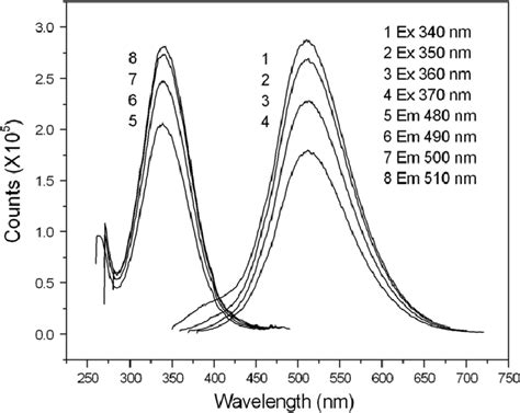 The Steady State Fluorescence Excitation And Emission Spectra Of The