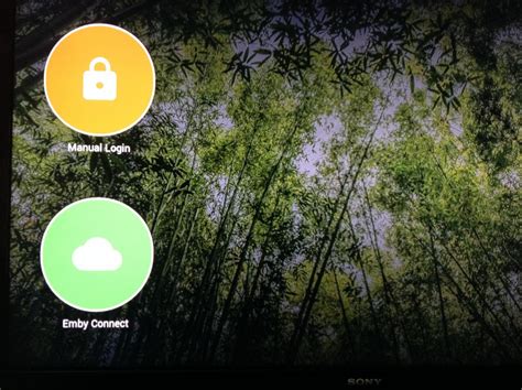 emby theater on raspberry pi page 7 linux and raspberry pi emby