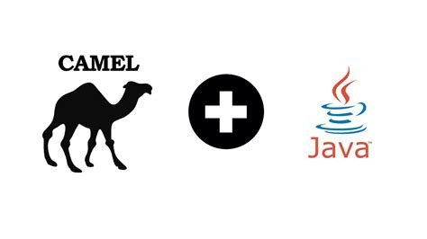 Pin On Apache Camel For Beginners