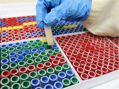 What Are Ffpe Samples