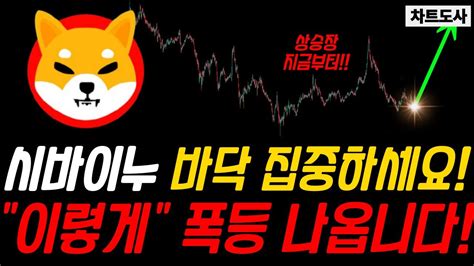 시바이누 바닥 집중하세요 이렇게 폭등 나옵니다 상승장 지금부터 Youtube