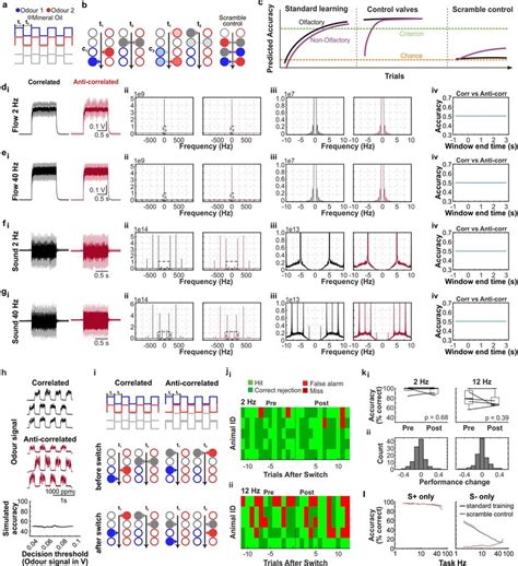 Autonomouse Stimulus And Experimental Design A Detailed Schematic Of Download Scientific