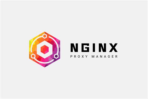 debian 12 ubuntu 22 04 安装 npm（nginxproxymanager）反向代理神器教程 兔哥博客