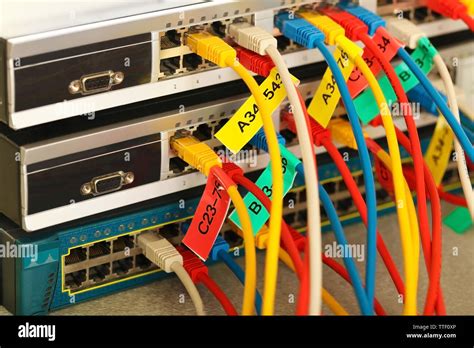 Ethernet Cables Connected To Network Switch Close Up Stock Photo Alamy