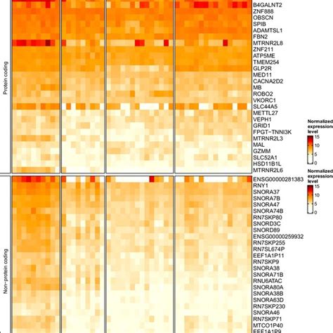 Heatmap Of Selected Genes Of Relevance For Remission Status Heatmaps