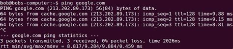Configure DNS Settings Linux