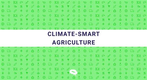 The Sustainability Science Exploring Climate Smart Agriculture
