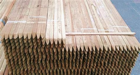 Fandg Supplies Square Tree Plant Stakes 1 2m 4ft X 32mm 5 Pack