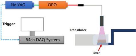 the hardware components employed in ex vivo experiments daq data