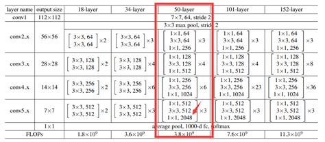 feature extraction using i3d and timesformer returns different number