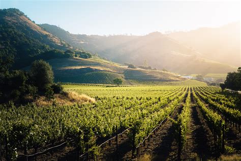 1117 Best Napa Images On Pholder Wine Room Porn And Bayarea