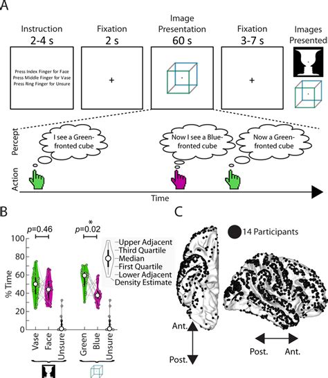 Paradigm Behavior And Electrode Locations A Task Structure