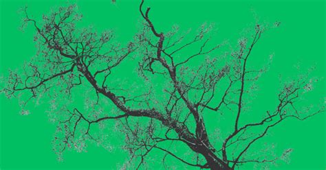 Optimizing Decision Trees How To Calculate Splits With Gini Impurity Analytics Writer