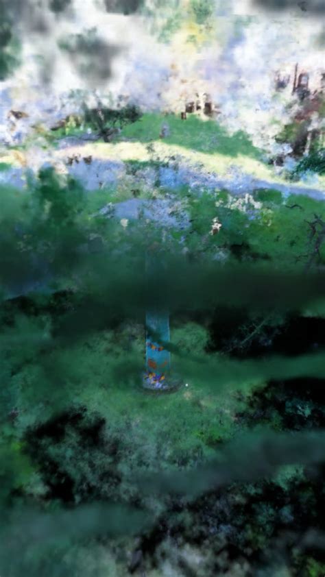 The World Is Just A Monolithic Simulation Rphotogrammetry