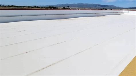 Parasolo Tpx Membrane Parasolo Tpx Membrane