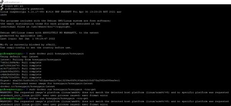 Issue With Installing Honeygain On Raspberry Pi Using Docker R Honeygain
