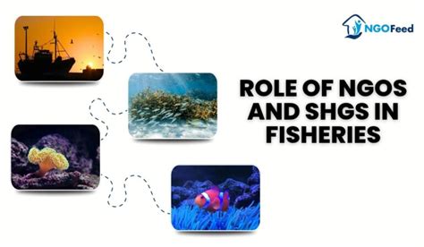 Role Of NGOs And SHGs In Fisheries Work Challenges Importance Impact