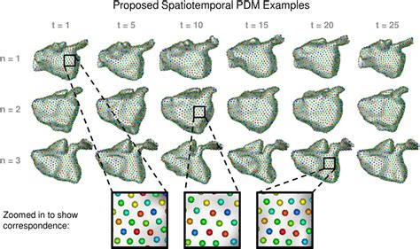 Frontiers Learning Spatiotemporal Statistical Shape Models For Non Linear Dynamic Anatomies