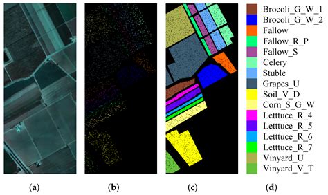 Hyperspectral Image Classification With Iformer Network Feature Extraction