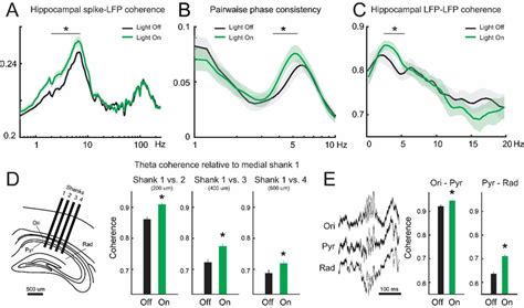 Intrahippocampal Synchrony During Optogenetic Inhibition Of Septal
