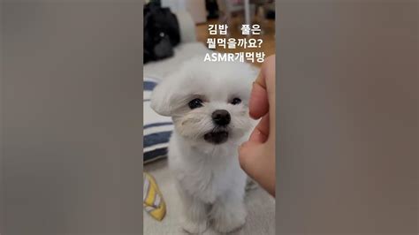 궁금하면 댓글 구독 좋아요 부탁드려요 Youtube