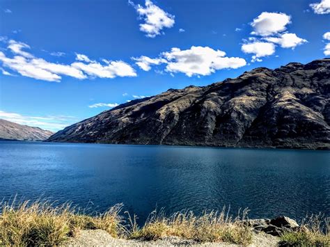 Photo Feature: Kiwiland Calling! - Comfortably Numb