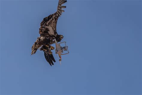 Drones News And Scientific Articles On Live Science Page 5 Live