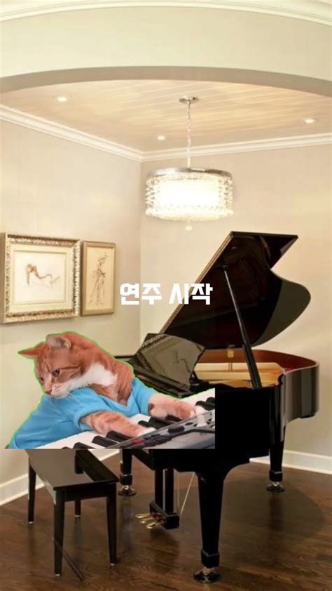 고양이 밈 pov 아주 평범한 주말 반전 특별편 shorts YouTube