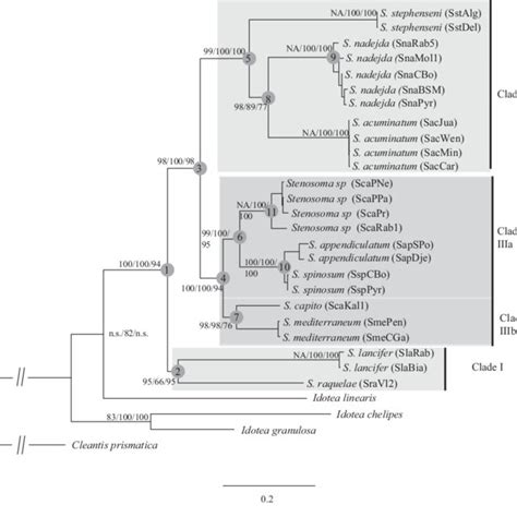 Maximum Likelihood Tree Obtained For The Concatenated Dataset Combining