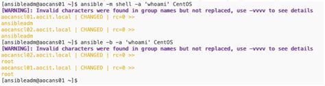 The Hosts File And Verifying Ansible Works AOC IT