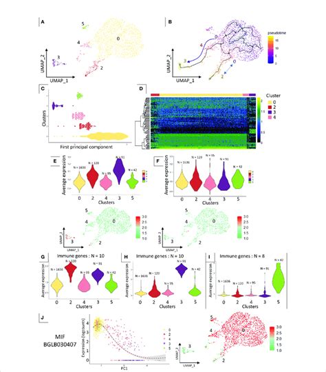 A Umap Representation Of Cluster 5 Identified After Removing Clusters