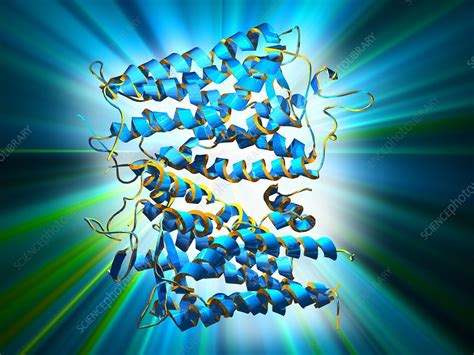 Rhodopsin Protein Molecule Stock Image A6170103 Science Photo