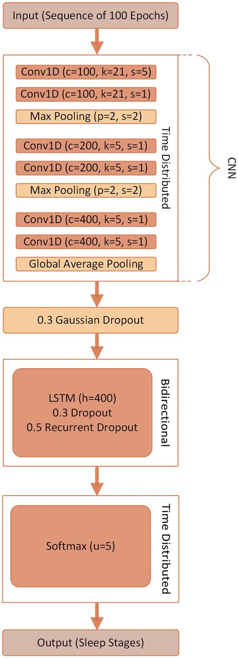 Frontiers Deep Learning Based Algorithm Accurately Classifies Sleep