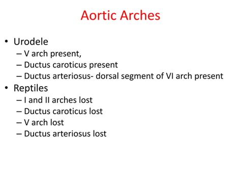 Comparative Anatomy Of Aortic Arches Pdf Biological Sciences Science