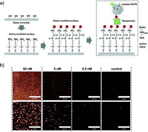 Catalytic Single Chain Polymeric Nanoparticles At Work From Ensemble Towards Single Particle