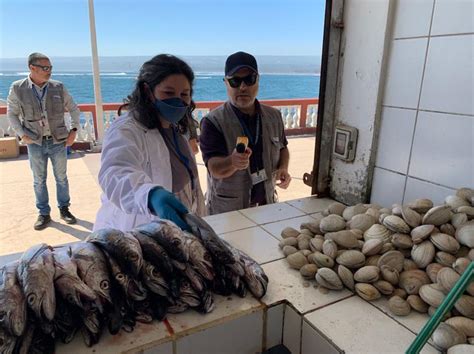 En Hospital San Fernando Servicio Salud Realizó Taller Preventivo Sobre Contexto E