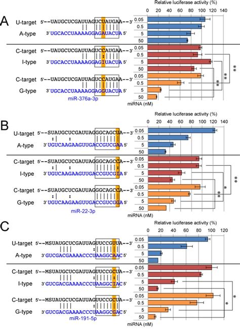 Luciferase Reporter Assay Of Silencing Efficiencies Of A Type I Type