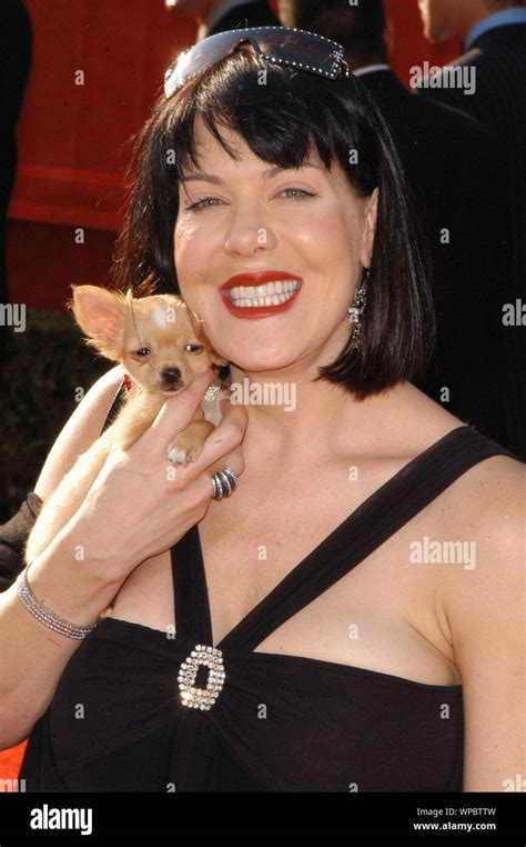 Joanie Laurer Aka Chyna Hi Res Stock Photography And Images Alamy