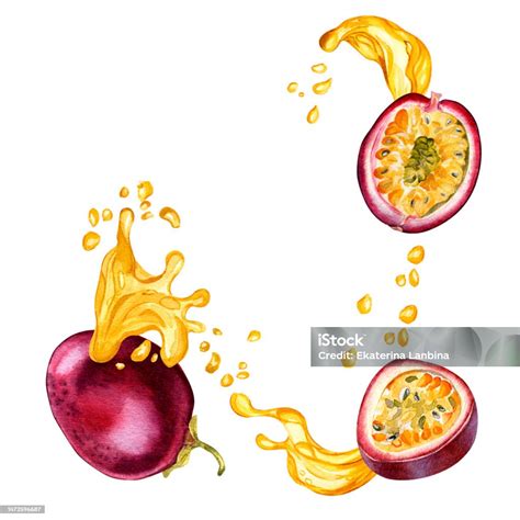 열정 과일과 스플래시 주스 수채화 그림의 프레임은 흰색 배경에 격리되어 있습니다 개체 그룹에 대한 스톡 벡터 아트 및 기타