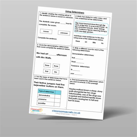 Year Using Determiners Mixed Activity Resource Classroom Secrets