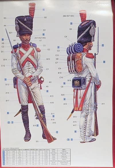 Imperial Guard Dutch Grenadier Napoleonic Wars Ipmsusa Reviews Website