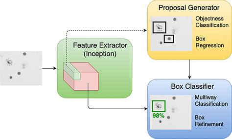 Block Diagram Of The Faster R Cnn Based Analyzable Metaphase Download Scientific Diagram