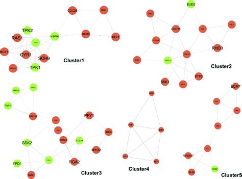 sub networks generated by mcode download scientific diagram