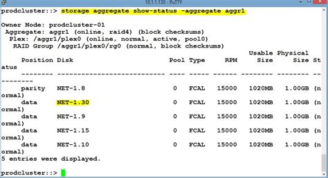 Remote Infrastructure Management Ontap 9 Disk Management