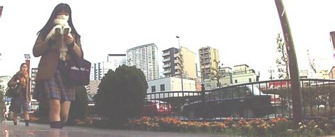 制服美少女図鑑 某有名女子校の少女たち3 3本セット 必殺仕掛け人 制服美少女図鑑 某有名女子校の少女たち3 3本セット 必殺仕掛け人
