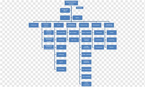 조직도 조직 구조도 관리 외 기타 각도 텍스트 Png Pngwing